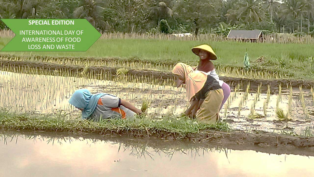 Lives And Livelihoods Fund Llf